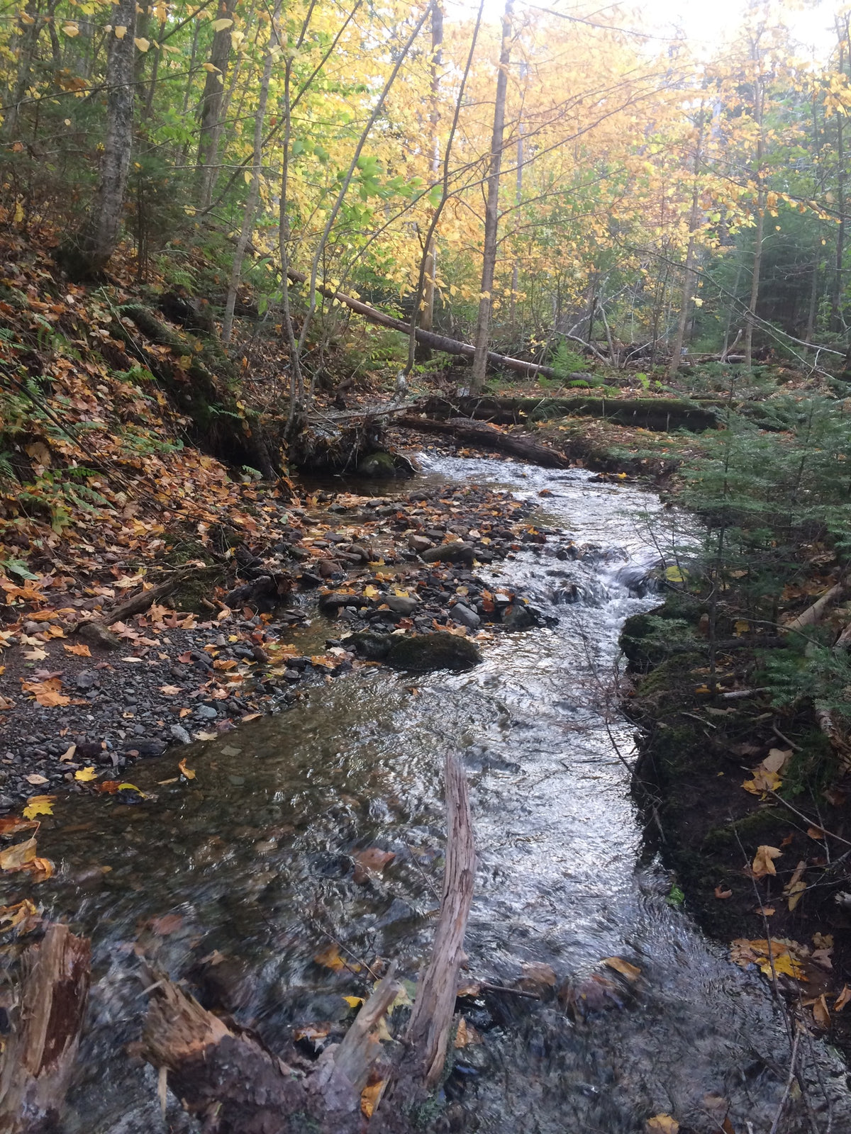 Trails – Sugar Moon Farm