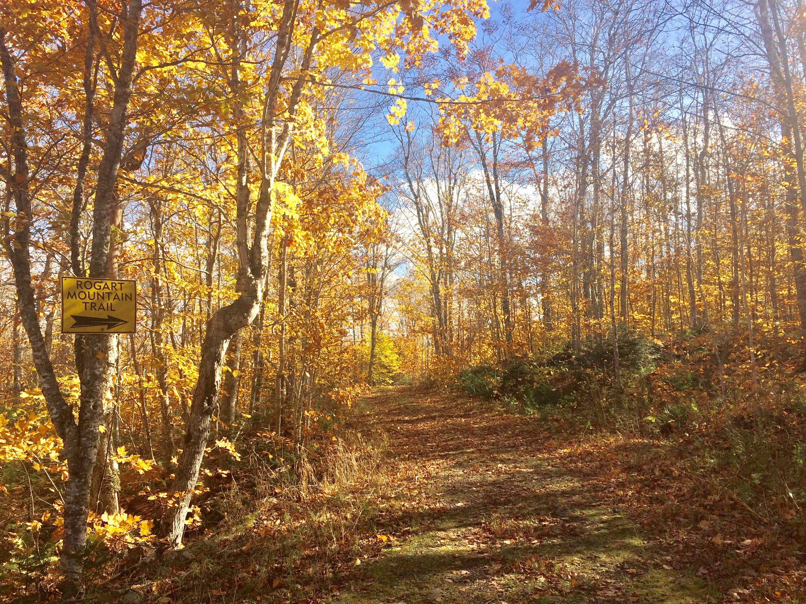 Trails – Sugar Moon Farm