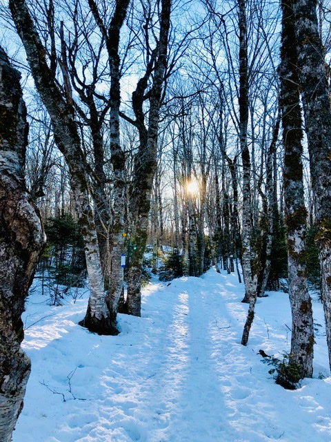 Trails – Sugar Moon Farm