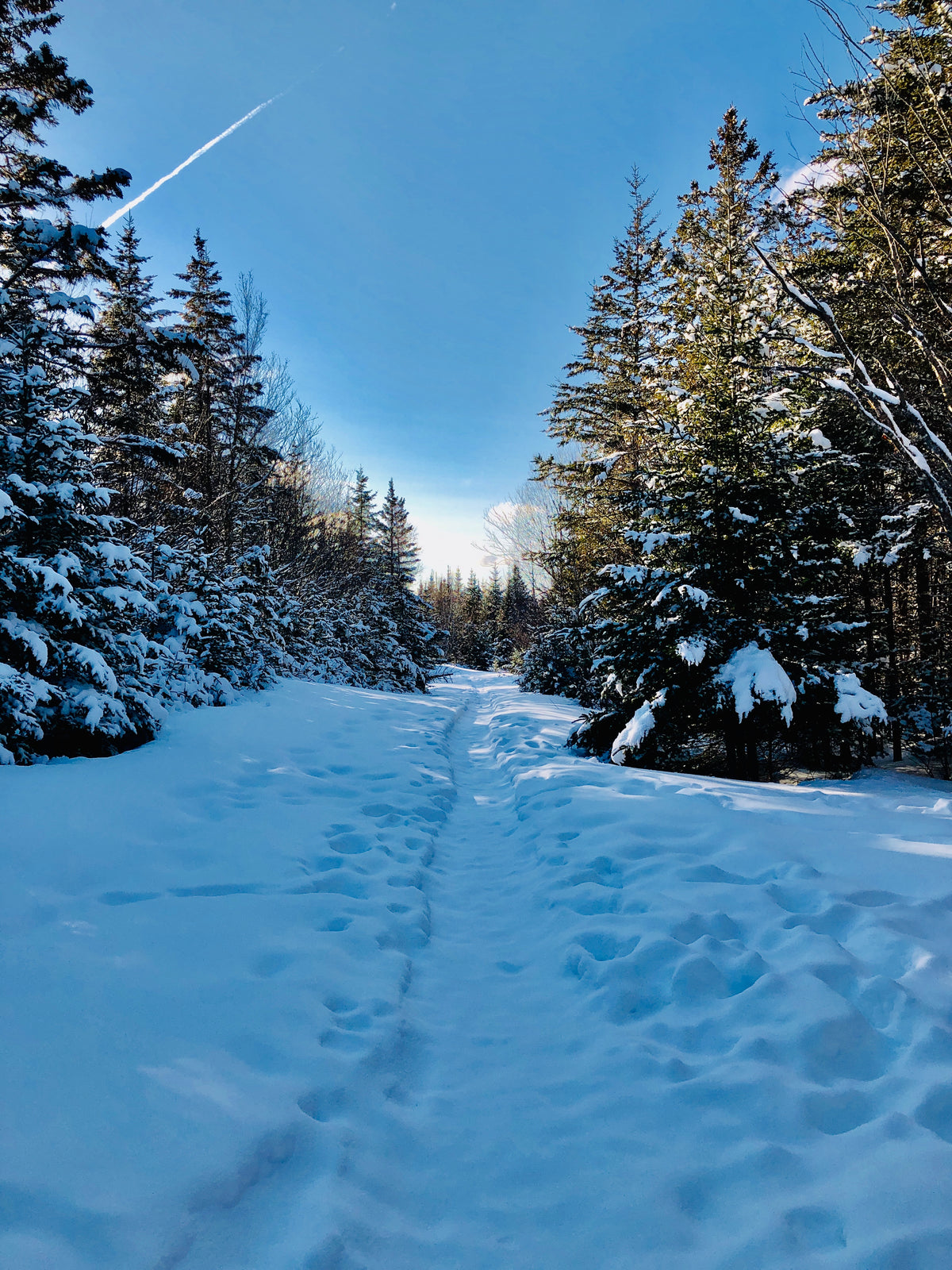 Trails – Sugar Moon Farm