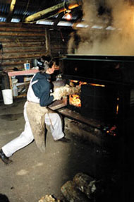 About us – Sugar Moon Farm